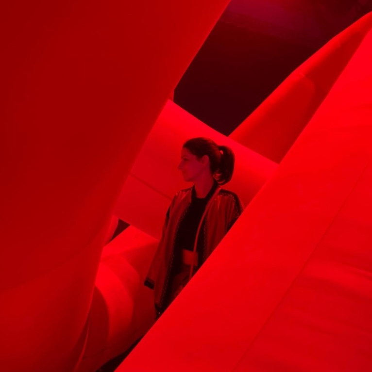 Suzanne FERRIER | Revue Miroir